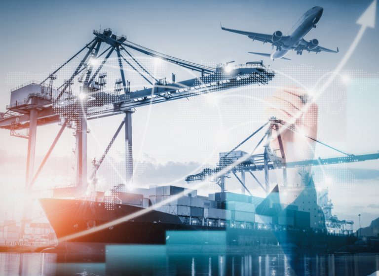 Nsight implements sap gts (Global Trade Management system).